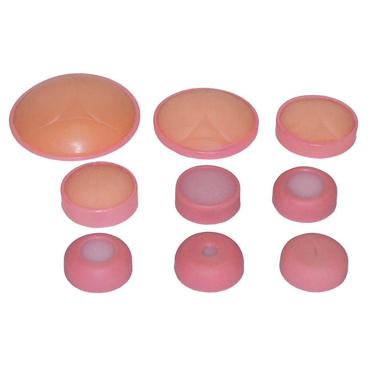 Individual Cervical Dilatation Models (9) 0 cm-10 cm Lifelike ...