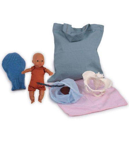 Mini Teaching Model Set Portable Childbirth Education Kit Midwife Doula ...